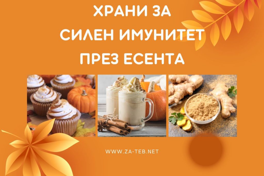 Силен Имунитет през Есента - Яжте тези храни! - ZA-TEB.NET